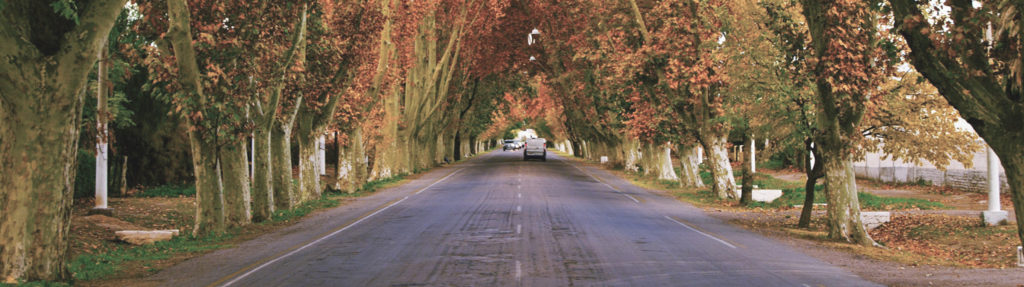 Sobre General Alvear | Turismo General Alvear