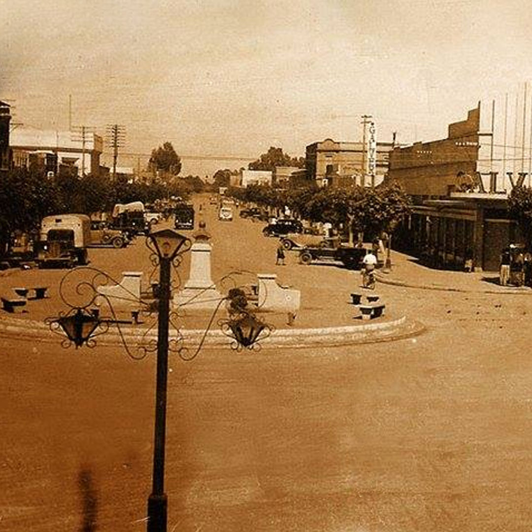 Sobre General Alvear Mendoza